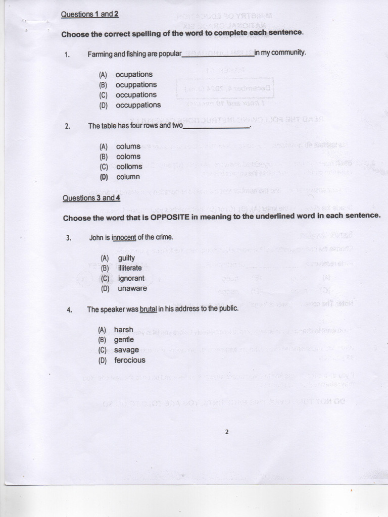 Language Paper One 2024 (Mock Exam) | PDF
