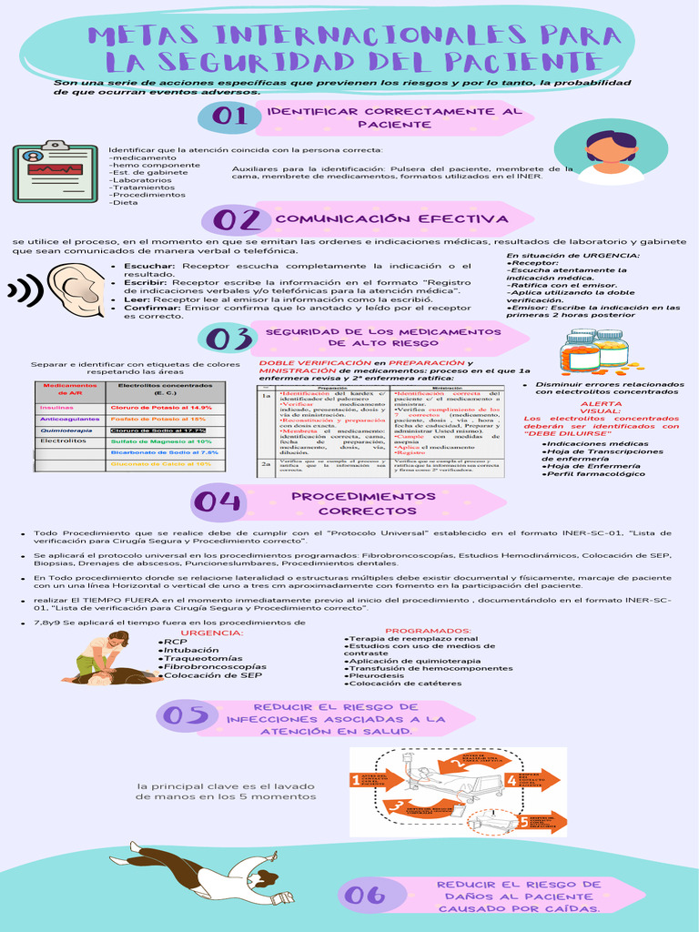 Metas Internacionales para La Seguridad Del Paciente | PDF | Seguridad ...