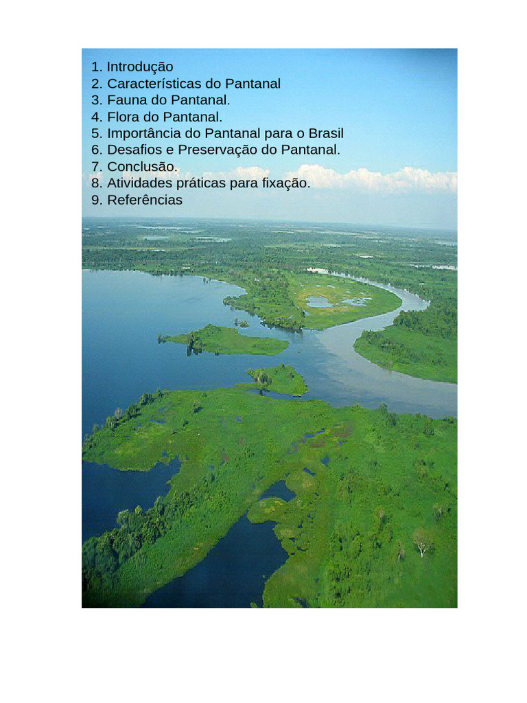 Introdução - panatanal | PDF