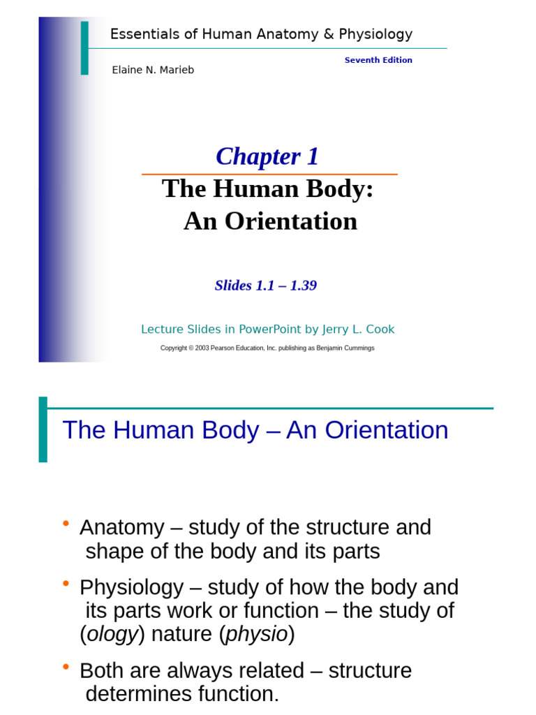 Unit1 Intro | PDF | Anatomical Terms Of Location | Homeostasis