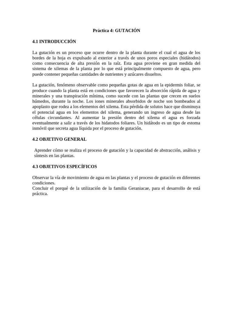 Informe Gutacion | PDF | Morfología Vegetal | Ramas de la botánica