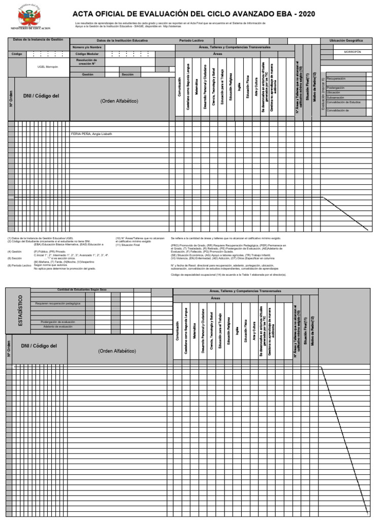 rptFormatoOficial 444444444444 | PDF