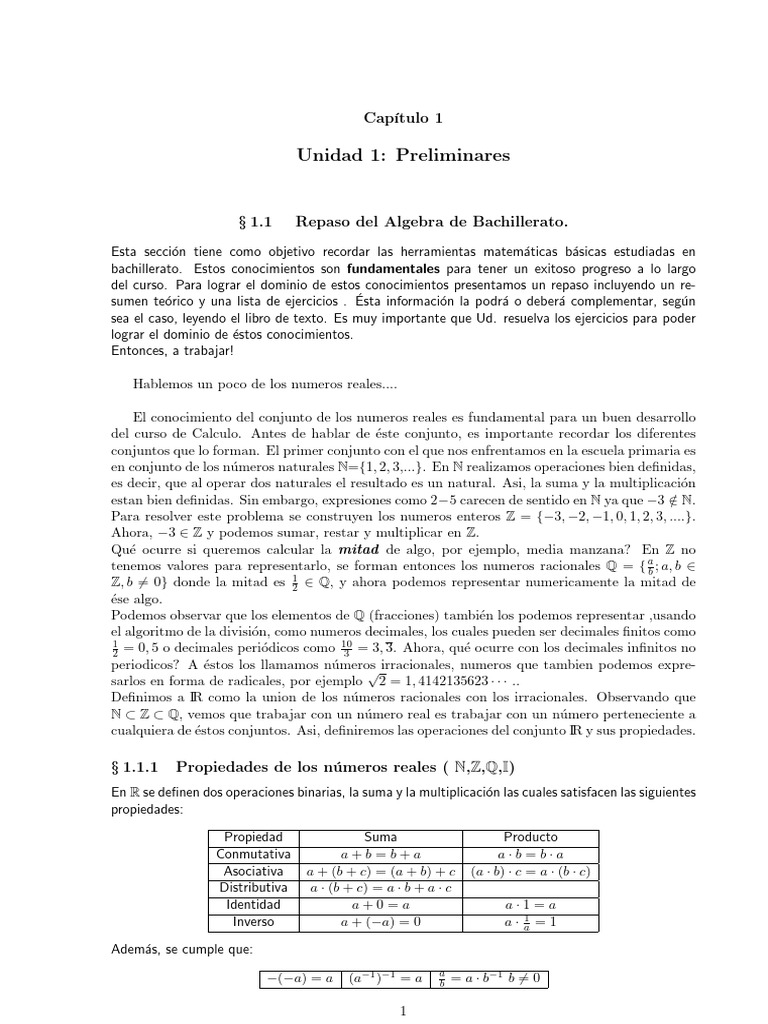 Preliminares MATEMATICAS BÁSICAS | PDF | Número racional | Números