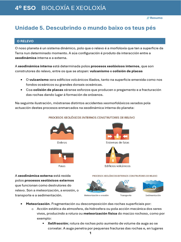 resumo_4eso_bioloxia_u5 (2) | PDF