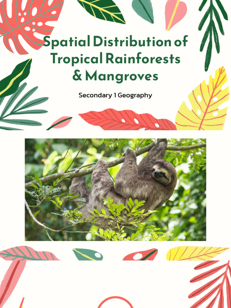 Chapter 5- Spatial Distribution of Tropical Rainforests & Mangroves ...