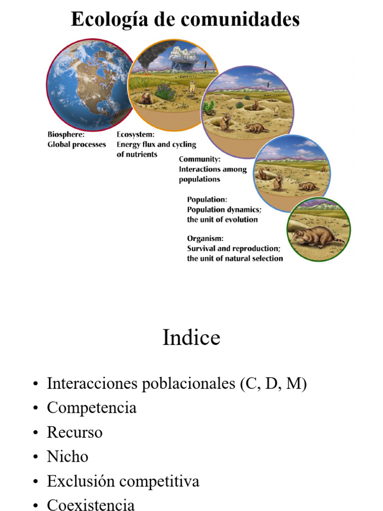 011 Intreacciones Competencia | PDF | Nicho ecológico | Ecología