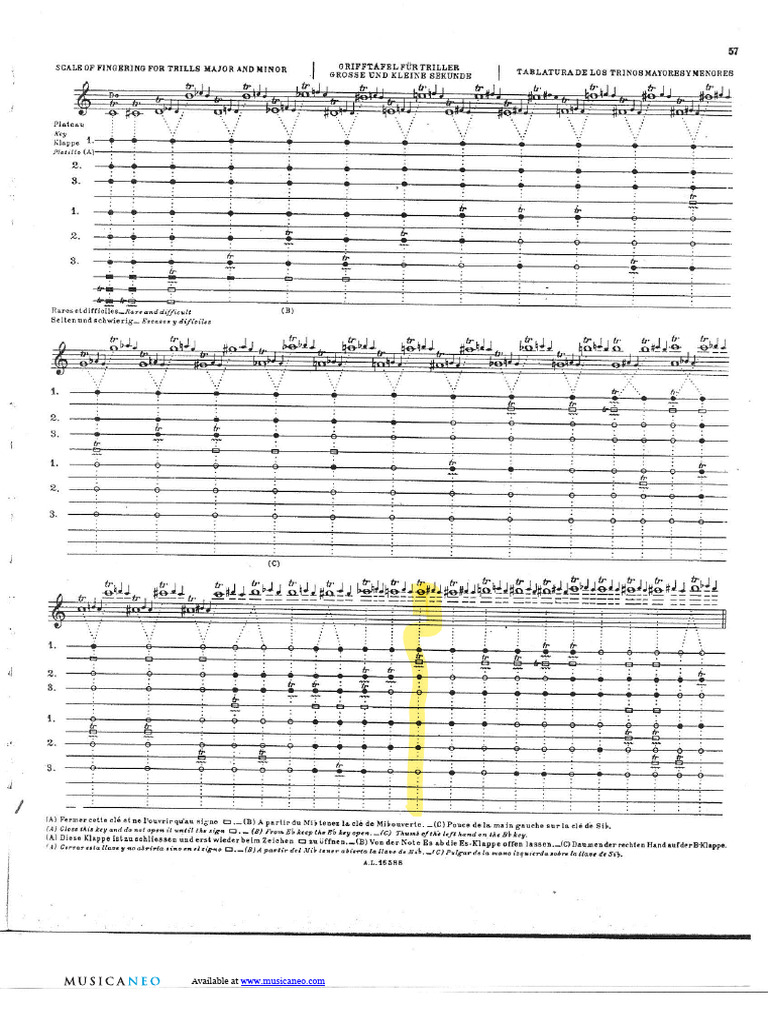 Trinados Recursos Flauta 2 | PDF