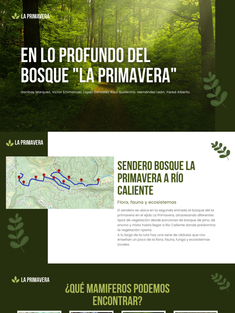 Sendero Interpretativo - La Primavera - 20241029 - 230906 - 0000 | PDF | Los bosques | Puma