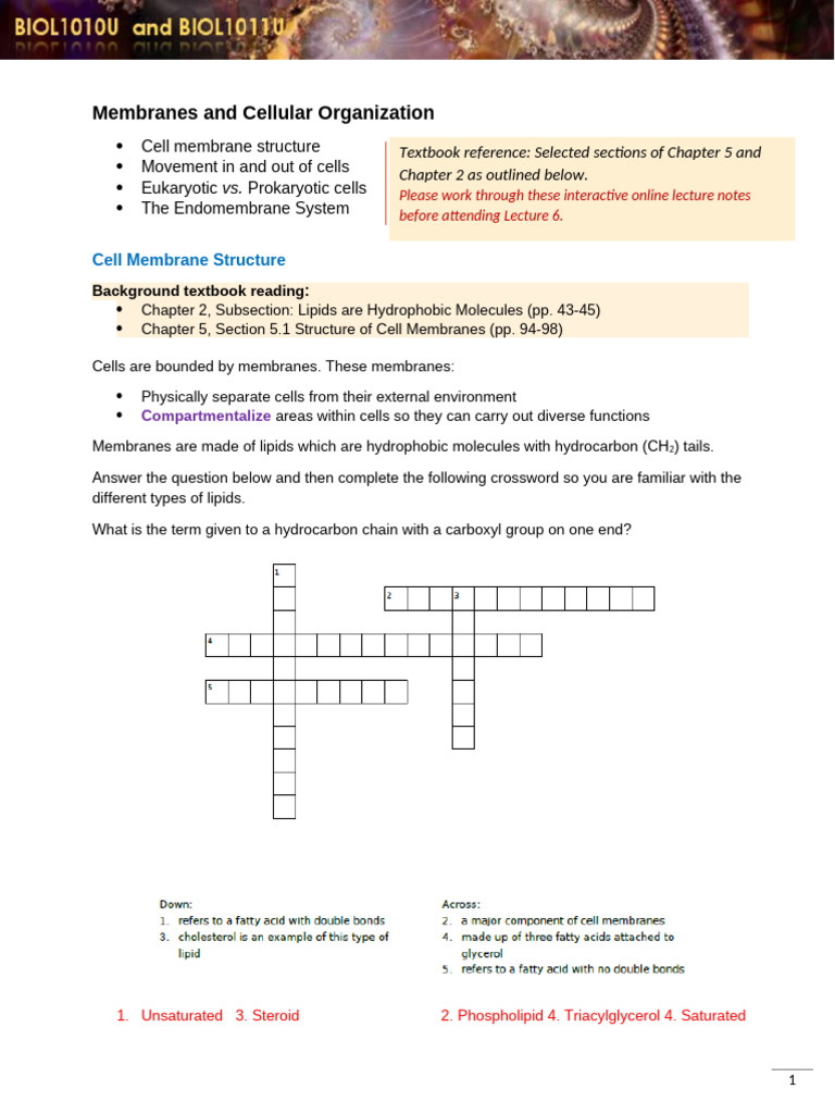 L6 Interactive Note - Membranes and Cell Organization | PDF | Cell Membrane | Osmosis