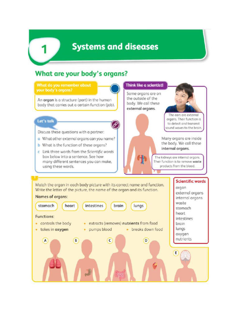 Science Chapter 1 | PDF