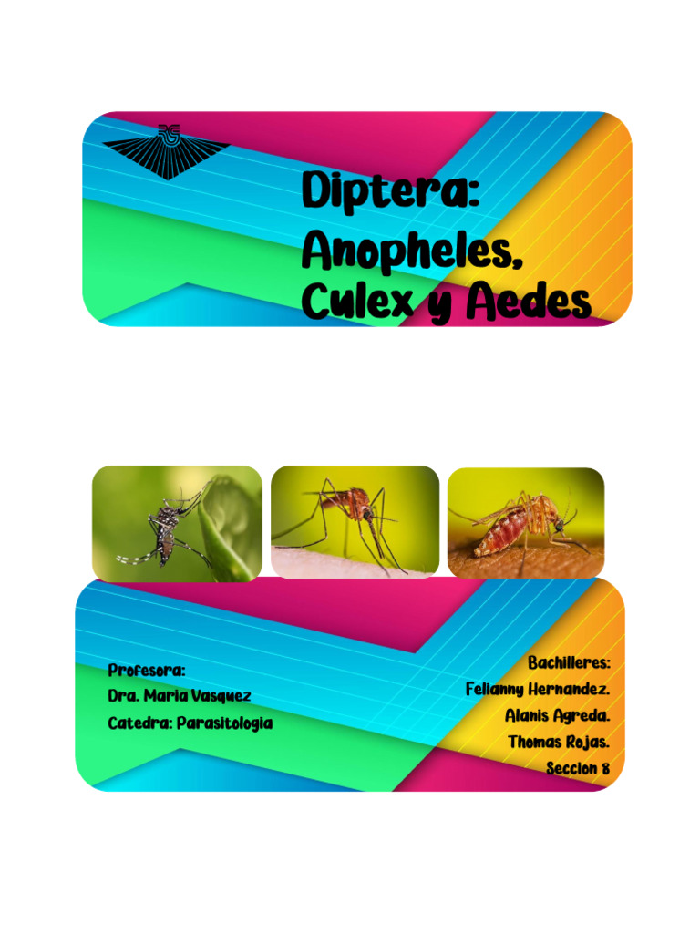 Orden Díptera | PDF | Mosquito | Mosca