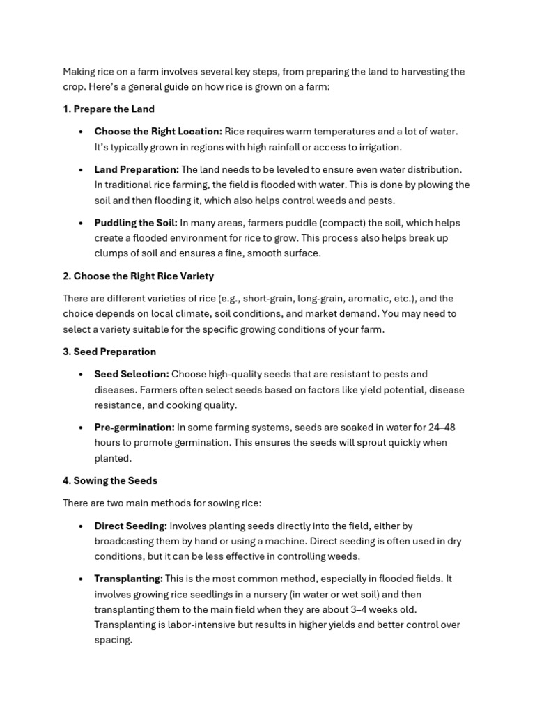 Rice crop | PDF | Rice | Sowing