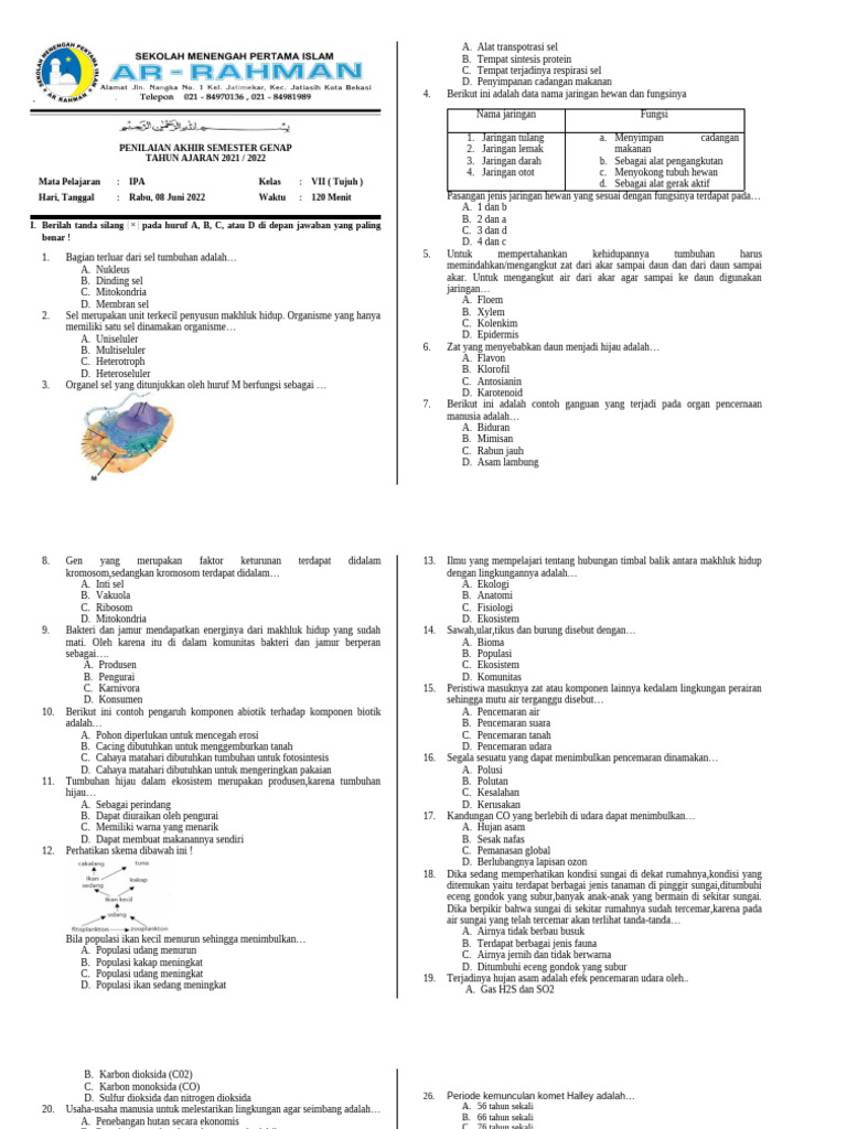 Pat Ipa 7 2022 Ipa | PDF