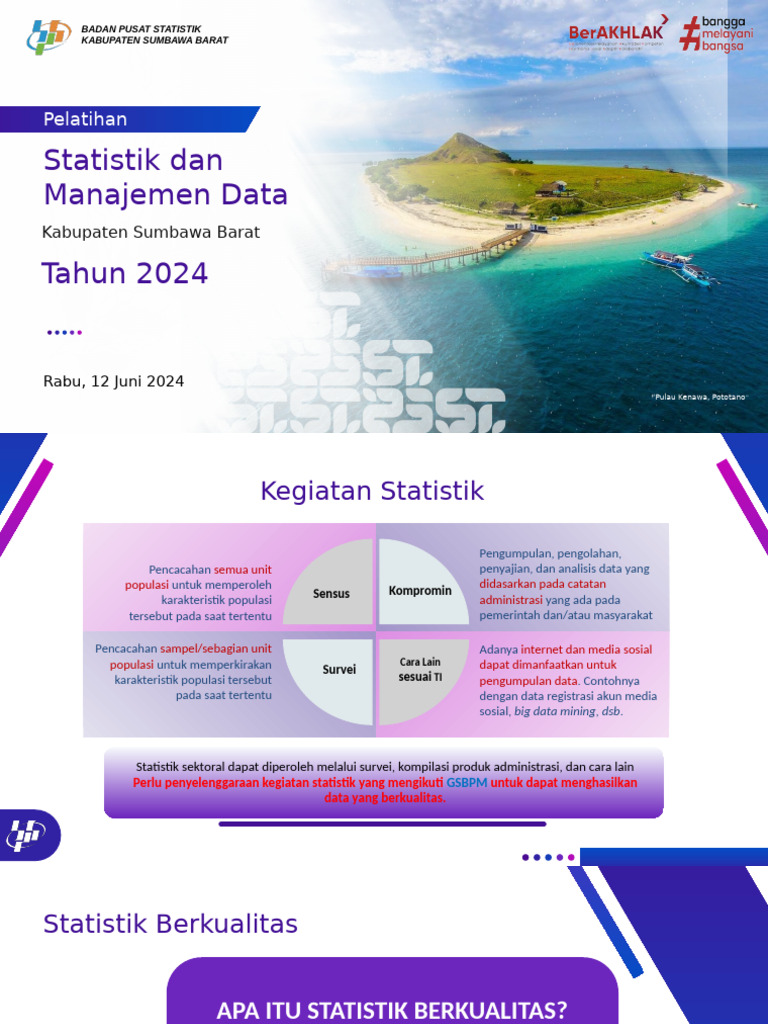 Standar Data Statistik BPS 2024 | PDF