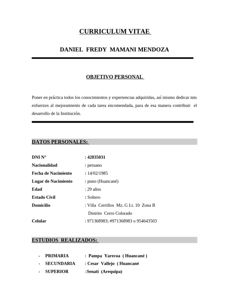 Curriculum Vitae Daniel | PDF