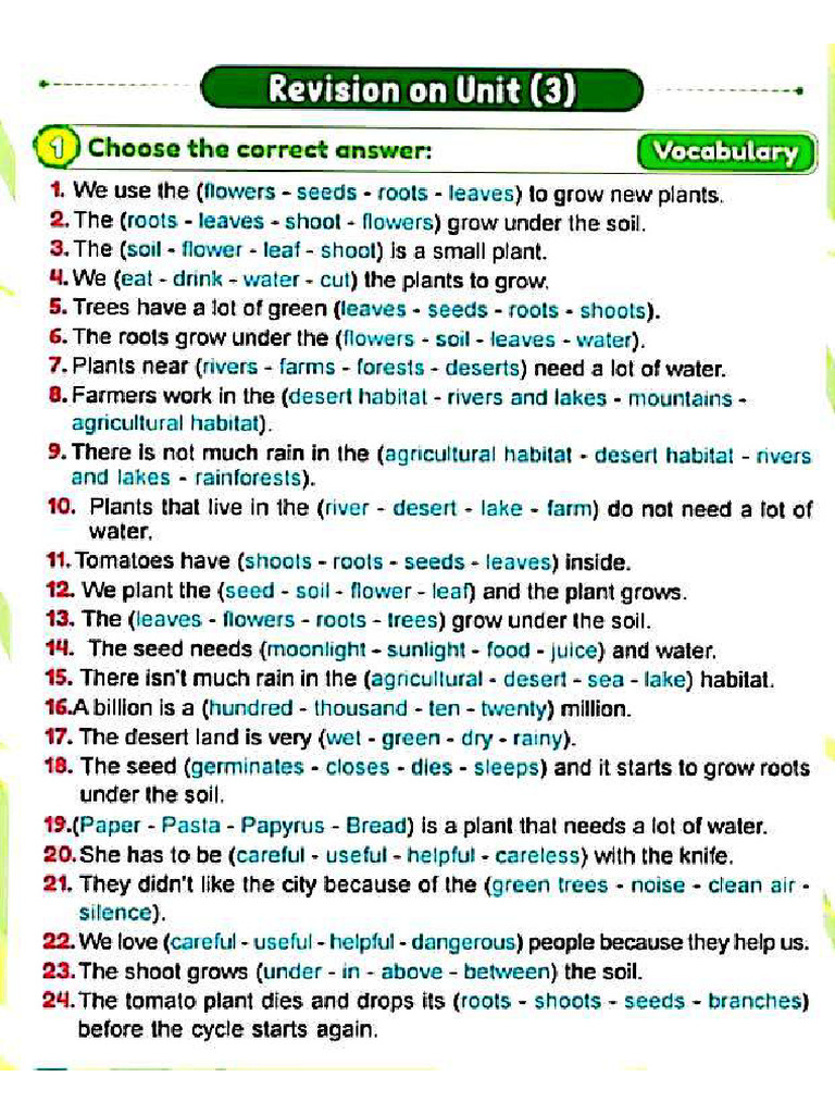 Gr4 connect November Revision (2) | PDF