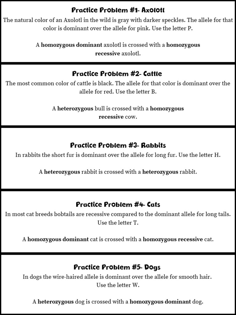 Punnett Square Practice | PDF