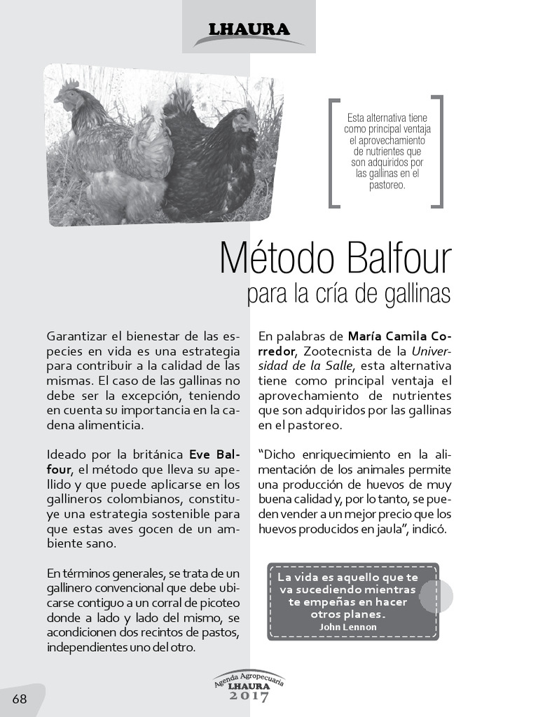 Metodo Balfour Para La Cria de Gallinas | PDF | Pollo | Agricultura