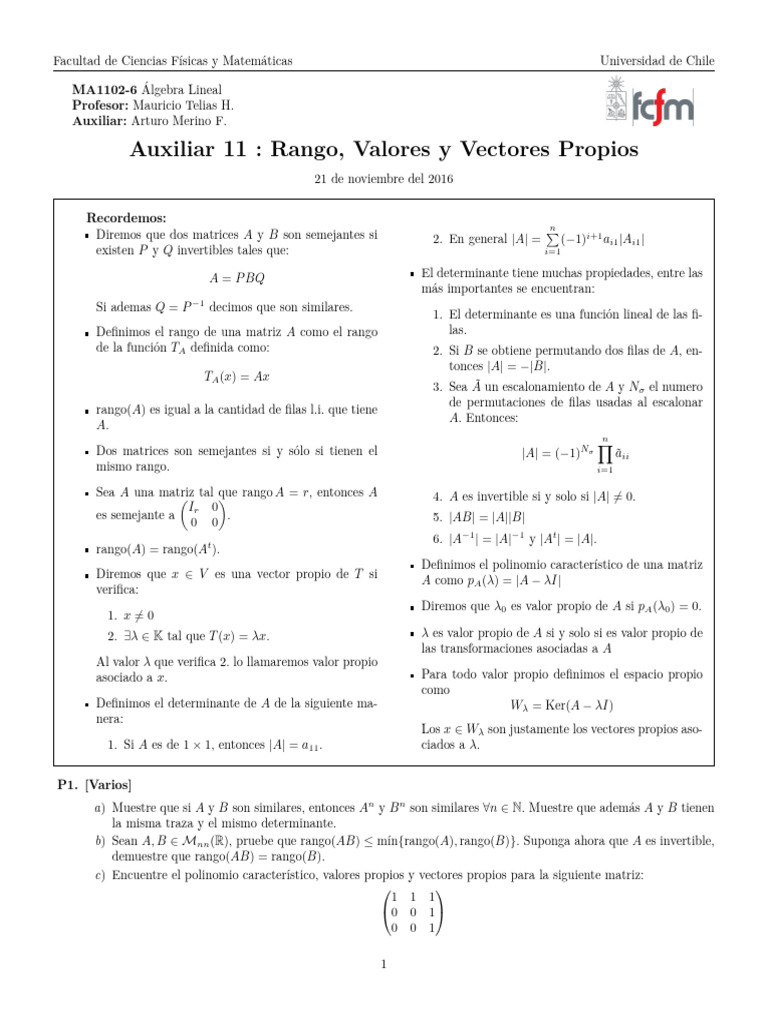 Auxiliar_11_Rango_Valores_y_Vectores_Propios | PDF | Valores propios y vectores propios | Matriz ...