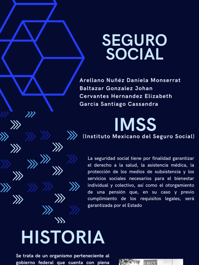 Seguro Social Presentación | PDF | Bienestar