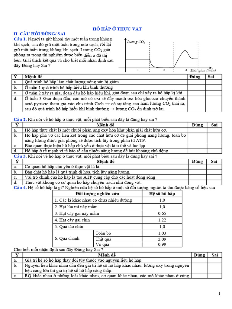ÔN THI HKI DẠNG II VÀ III - HÔ HẤP TV (ĐỀ) | PDF