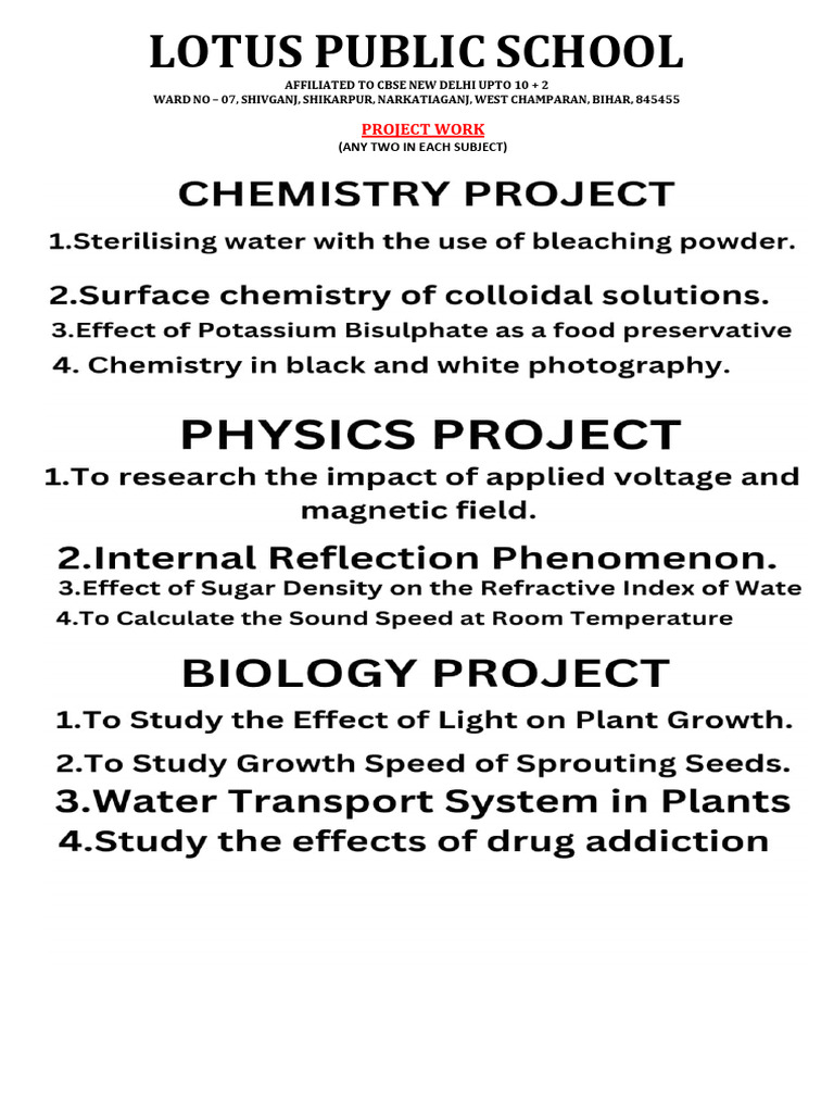 Phy Chem Bio Project Work | PDF