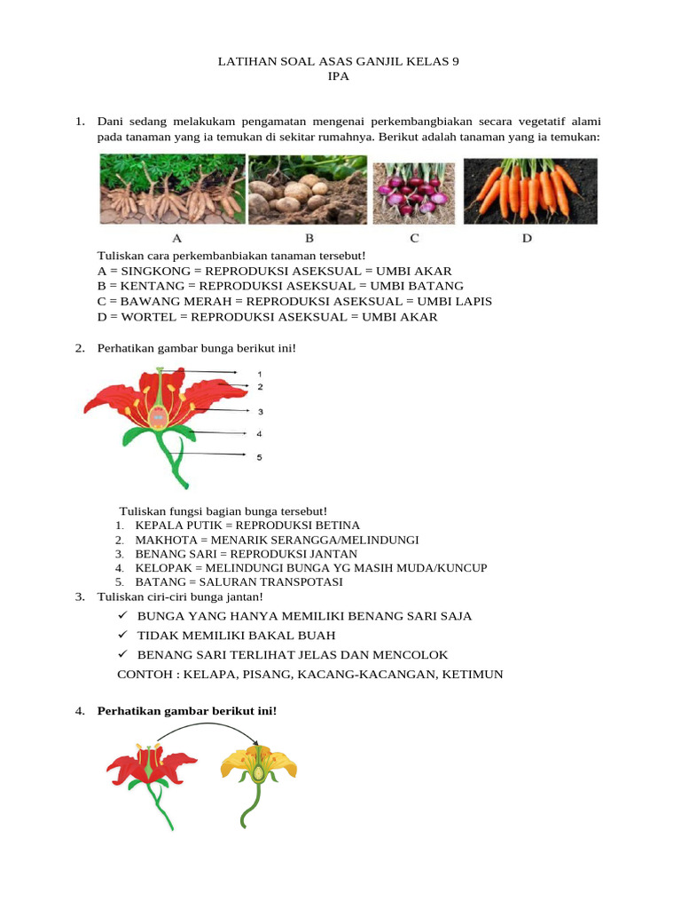 Kelas 9 Latihan Soal Asas Ganjil 2024 | PDF