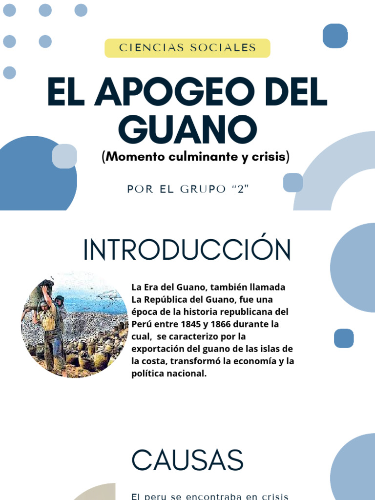 EL APOGEO DEL GUANO | PDF | Perú | Agricultura