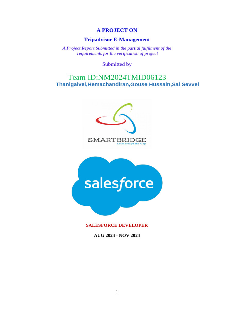 TripAdvisor E Management | PDF | Customer Relationship Management | Automation