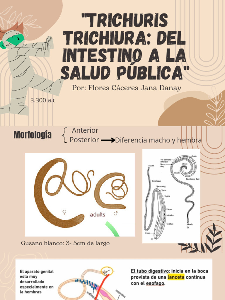 Resumen de Trichuris Trichiura - 20241210 - 213449 - 0000 | PDF