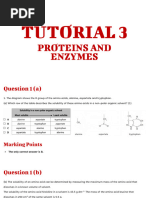 Amoeba Sisters Enzyme Handout | PDF | Enzyme | Catalase