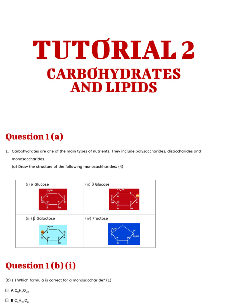 Tutorial 2 (Carbohydrates and Lipids) | PDF | Carbohydrates | Glucose