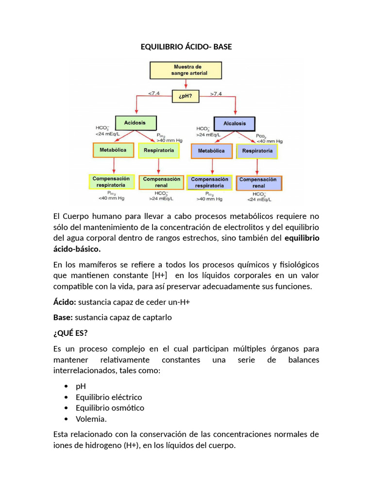 Equilibrio Ácido-Base en el Cuerpo Humano | PDF | Solución tampón | Ácido