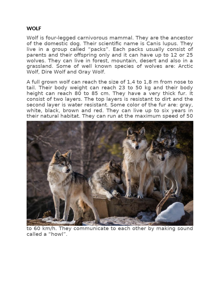 Wolf | PDF