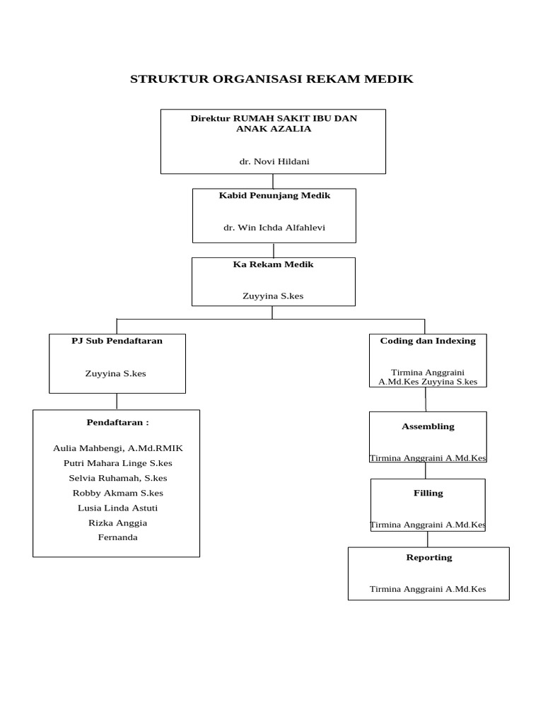 Struktur Organisasi Rekam Medik | PDF