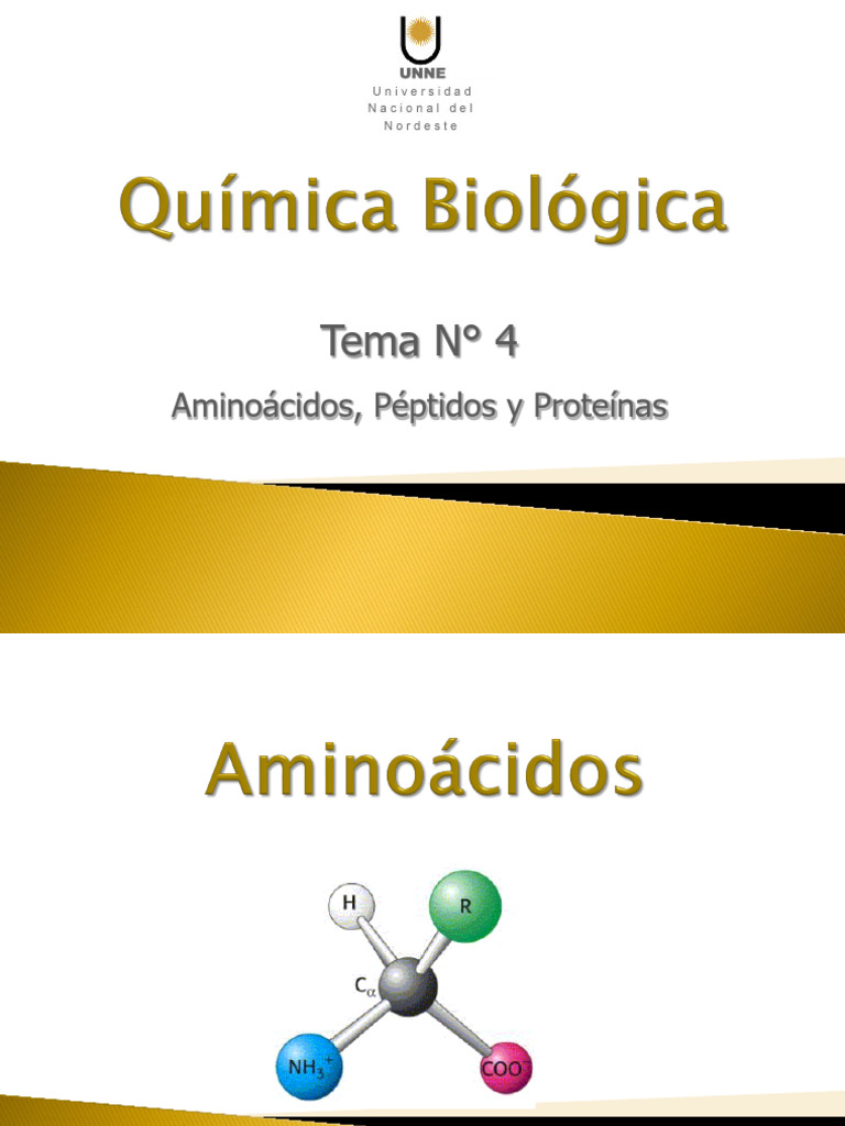 Tema N° 4. Aminoácidos, Péptidos y Proteínas | PDF | Péptido | Proteínas