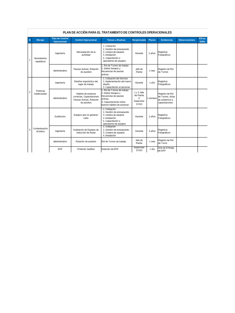 Plan de Accion Controles Operacionales | PDF