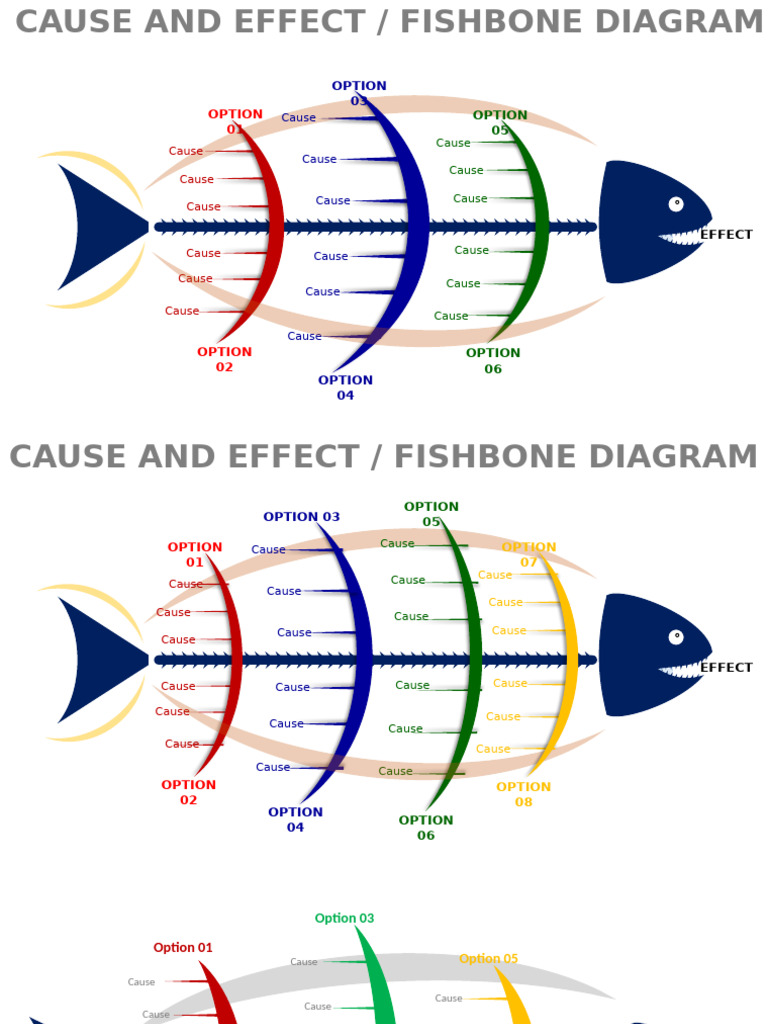 Xuong Ca FishBone Cause and Effect | PDF