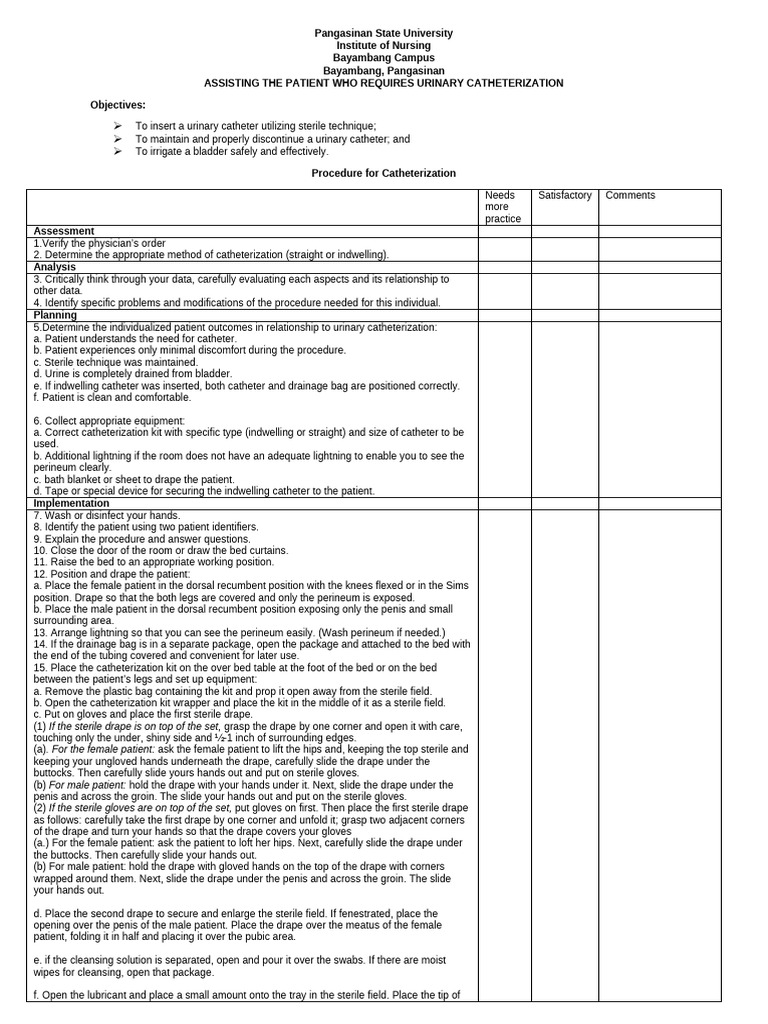 Catheter Checklist Updated | PDF | Labia | Catheter