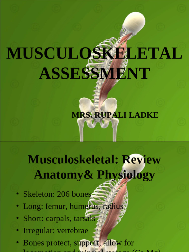 Assessment of Muscoloskeletal System | PDF | Anatomical Terms Of Motion ...