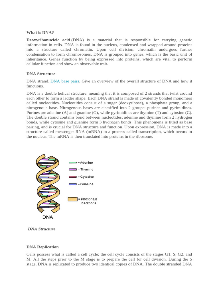 DNA Definition, Characteristics & Sequencing | PDF | Dna | Dna Replication