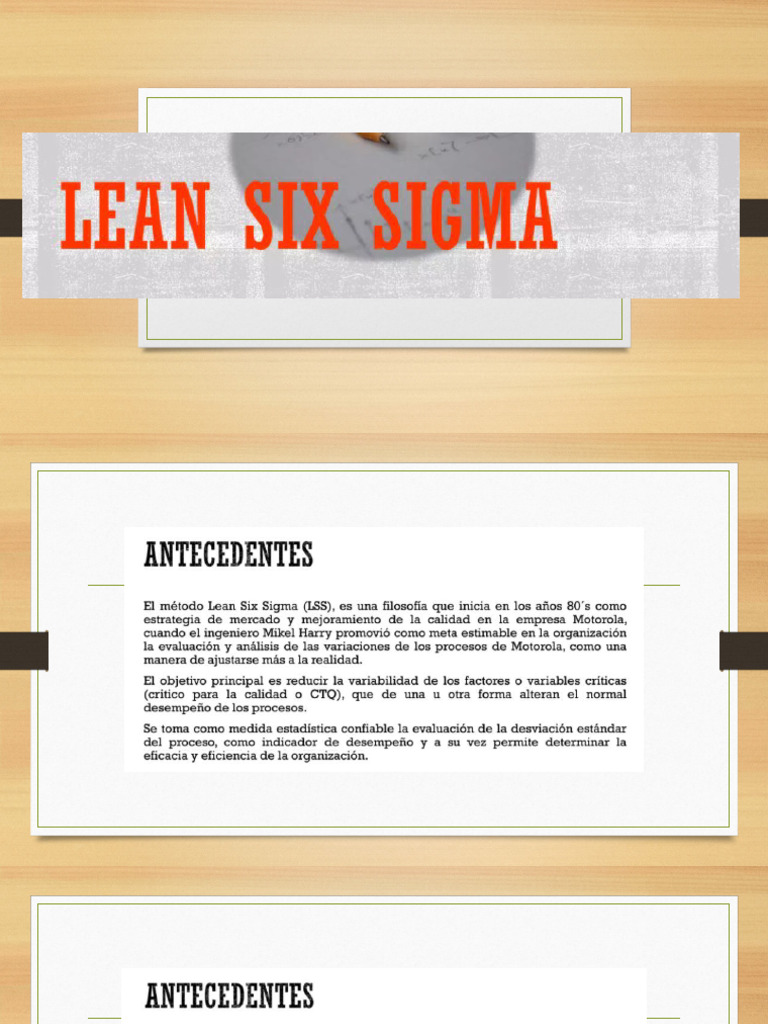 Lean Sig Sigma | PDF