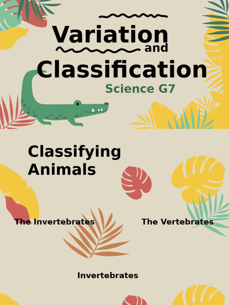 Classifying Invertebrates | PDF