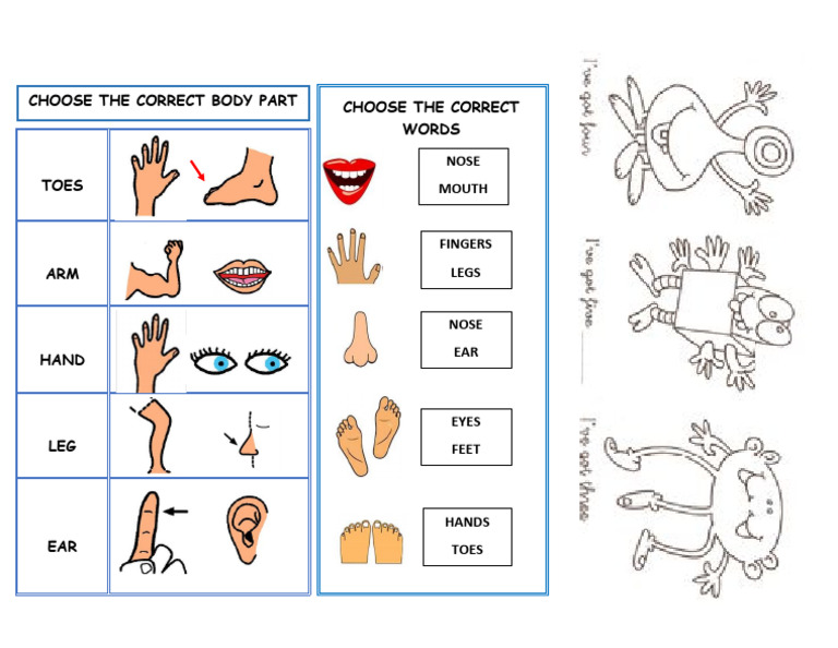 Children Body P | PDF