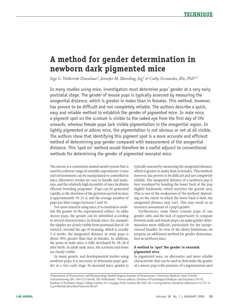Membedakan Sex Mice Pdf Mouse Gender