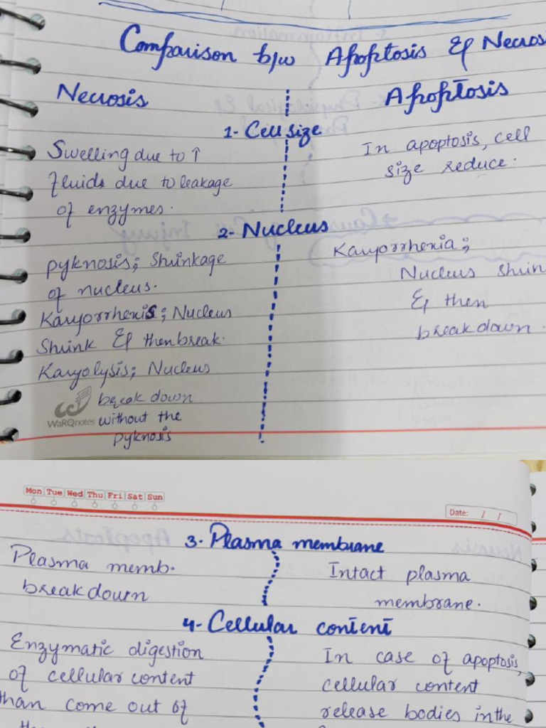 patho chap 2( part 5) | PDF | Biochemistry | Chemistry