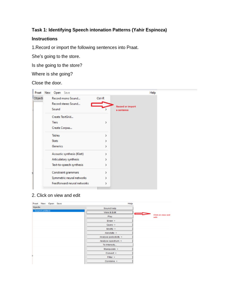 Praat Exercise - Yahir Espinoza and Melissa Jaen | PDF | Question ...