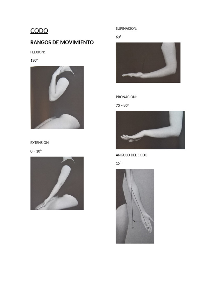CODO Pruebas Musculares | PDF | Codo | Sistema musculoesquelético