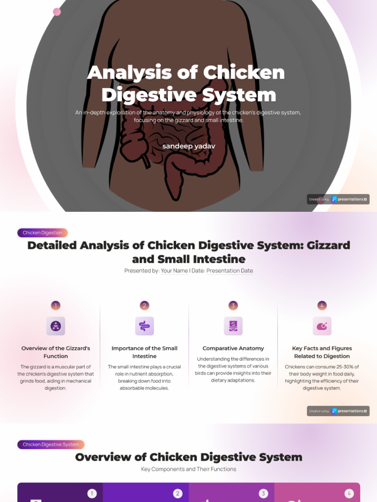 Analysis of Chicken Digestive System | PDF