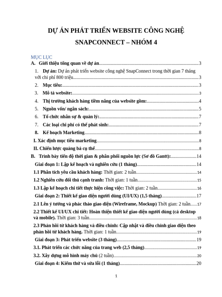 DỰ ÁN PHÁT TRIỂN WEBSITE CÔNG NGHỆ SNAPCONNECT | PDF